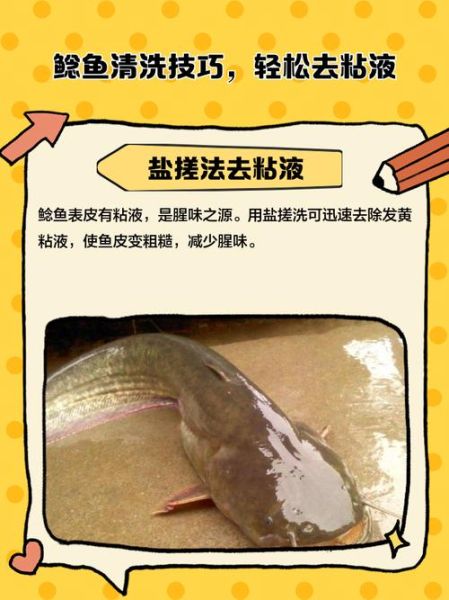 鲶鱼怎么处理干净_鲶鱼去腥技巧-第1张图片-山城妙识