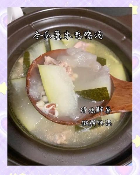 老鸭汤止咳的做法大全_老鸭汤止咳需要放什么药材-第2张图片-山城妙识