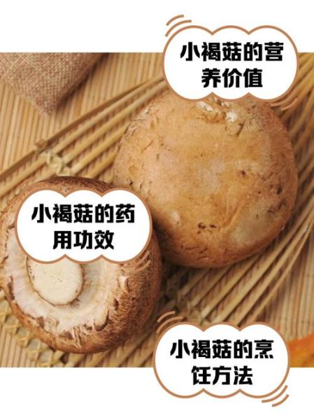 褐菇怎么做好吃_褐菇的家常做法大全-第1张图片-山城妙识