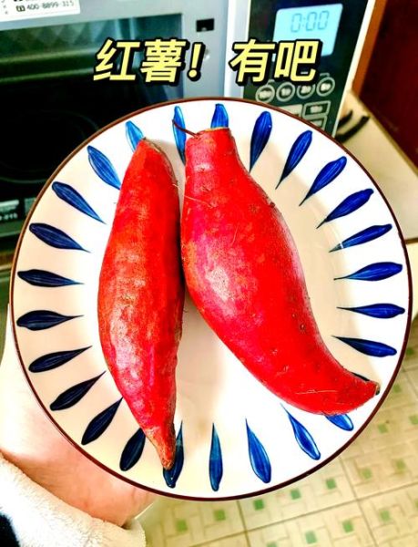 微波炉烤地瓜几分钟_地瓜微波炉烤多久-第1张图片-山城妙识