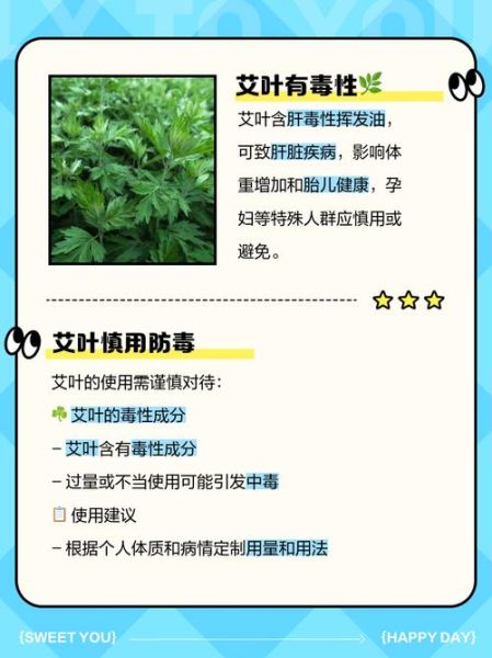 长期吃艾草致癌吗_艾草毒性真相-第2张图片-山城妙识