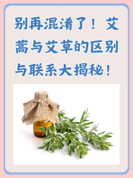 长期吃艾草致癌吗_艾草毒性真相-第1张图片-山城妙识