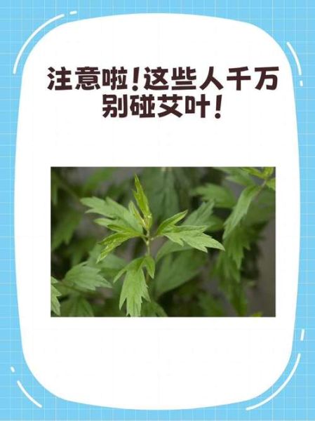 长期吃艾草致癌吗_艾草毒性真相-第3张图片-山城妙识