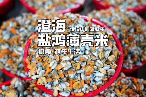 海瓜子品种图片_海瓜子怎么区分-第3张图片-山城妙识