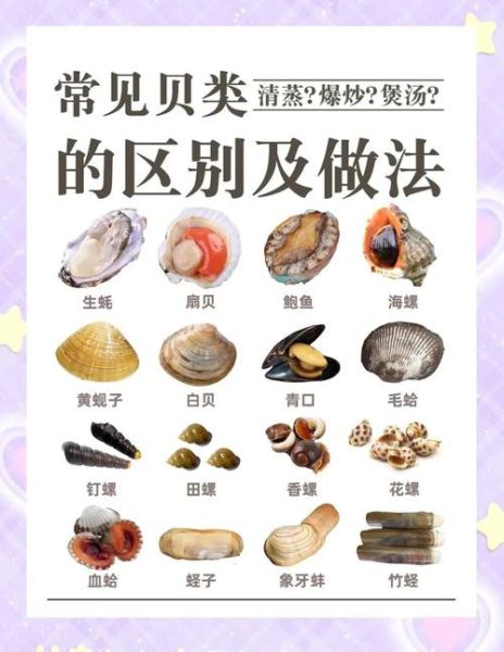 贝类海鲜品种有哪些_如何挑选新鲜贝类-第2张图片-山城妙识