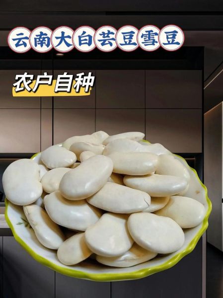 雪豆百科是什么_雪豆百科怎么用-第3张图片-山城妙识