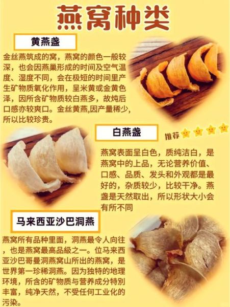 燕窝是什么燕子_金丝燕与白腹雨燕区别-第1张图片-山城妙识