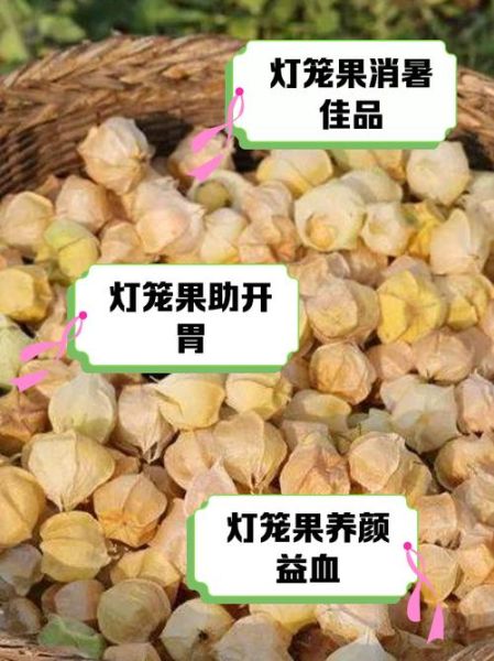 灯笼果的功效与作用_灯笼果怎么吃效果最好-第2张图片-山城妙识