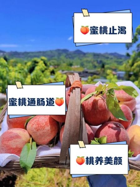 女人吃桃子有什么坏处_女性吃桃子副作用-第3张图片-山城妙识 女人吃桃子有什么坏处_女性吃桃子副作用-第3张图片-山城妙识