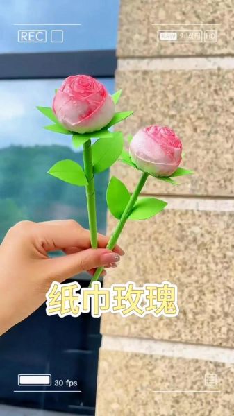 网红卫生纸玫瑰花怎么折_卫生纸玫瑰花折法教程-第2张图片-山城妙识
