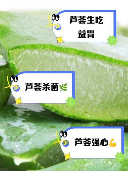 芦荟怎么吃才好吃_芦荟怎么吃才好吃又健康-第1张图片-山城妙识