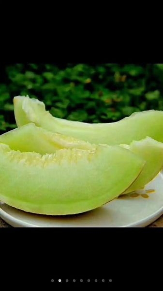 白兰瓜多少钱一斤_白兰瓜价格走势-第3张图片-山城妙识 白兰瓜多少钱一斤_白兰瓜价格走势-第3张图片-山城妙识