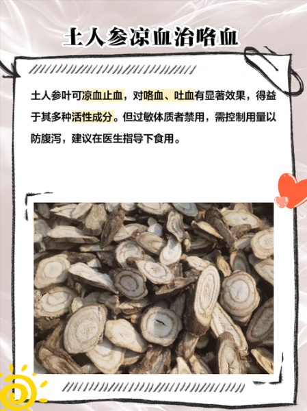 人参叶的功效与作用_人参叶怎么泡水喝-第1张图片-山城妙识 人参叶的功效与作用_人参叶怎么泡水喝-第1张图片-山城妙识