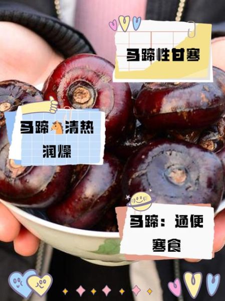 马肉是热性还是凉性_马肉吃了上火吗-第2张图片-山城妙识