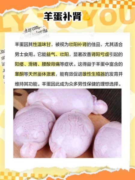 羊睾丸的功效与作用_羊睾丸怎么吃最补肾-第2张图片-山城妙识