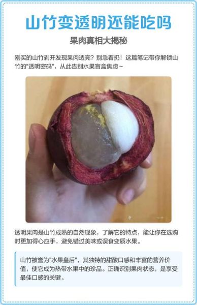 山竹透明的肉能吃吗_山竹果肉透明是不是坏了-第1张图片-山城妙识