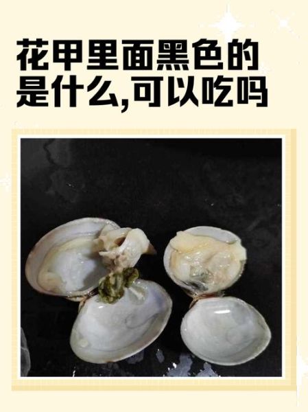 扇贝里面的黑色像屎能吃吗_怎么处理才安全-第1张图片-山城妙识