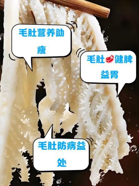 毛肚吃多了有什么危害_毛肚吃多了会上火吗-第1张图片-山城妙识 毛肚吃多了有什么危害_毛肚吃多了会上火吗-第1张图片-山城妙识