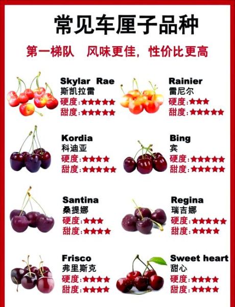 樱桃怎么挑选_樱桃一天吃多少合适-第1张图片-山城妙识