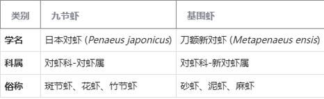 九节虾怎么挑选_九节虾和基围虾区别-第1张图片-山城妙识