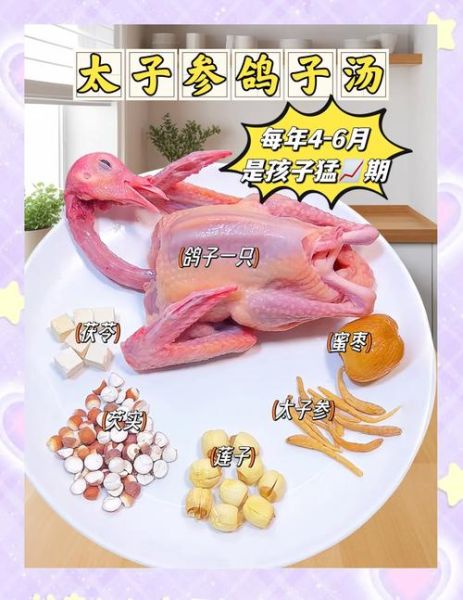 鸽子怎么炖最补气血_乳鸽汤的家常做法-第2张图片-山城妙识