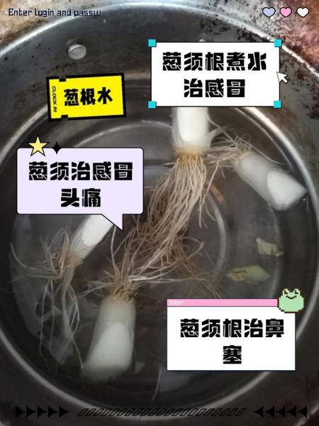 大葱根的功效与作用_大葱根煮水有什么好处-第2张图片-山城妙识