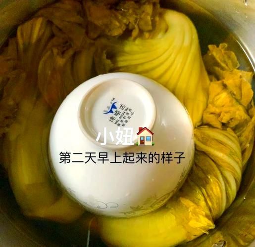 自制酸菜怎么保存_酸菜变酸需要几天-第3张图片-山城妙识