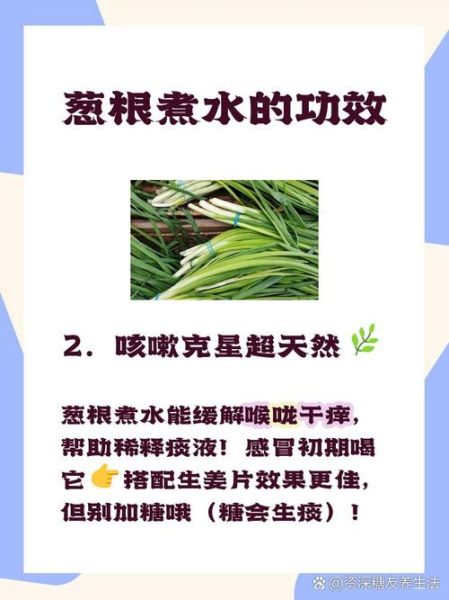 大葱根的功效与作用_大葱根煮水有什么好处-第3张图片-山城妙识