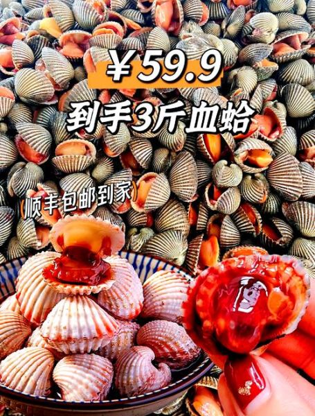 血蛤读音是什么_血蛤怎么读才标准-第1张图片-山城妙识