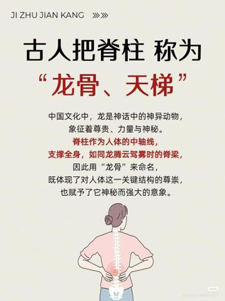 龙骨是什么部位的骨头_龙骨是脊椎吗-第1张图片-山城妙识