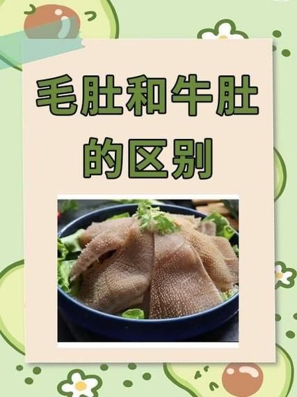 牛肚分几种_牛肚和毛肚有什么区别-第1张图片-山城妙识 牛肚分几种_牛肚和毛肚有什么区别-第1张图片-山城妙识