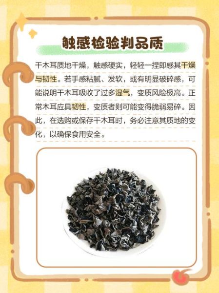 干木耳发霉了还能吃吗_干木耳长白毛了怎么处理-第2张图片-山城妙识