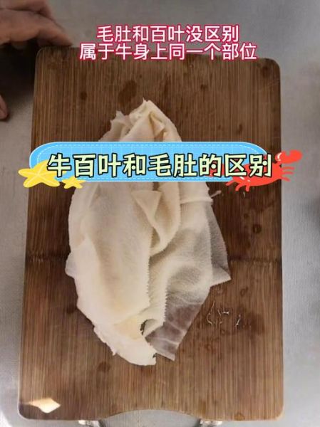 牛肚分几种_牛肚和毛肚有什么区别-第3张图片-山城妙识 牛肚分几种_牛肚和毛肚有什么区别-第3张图片-山城妙识