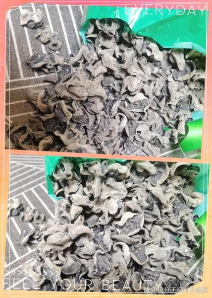 干木耳发霉了还能吃吗_干木耳长白毛了怎么处理-第1张图片-山城妙识