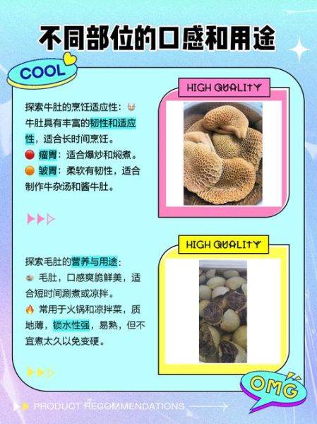 牛肚分几种_牛肚和毛肚有什么区别-第2张图片-山城妙识 牛肚分几种_牛肚和毛肚有什么区别-第2张图片-山城妙识