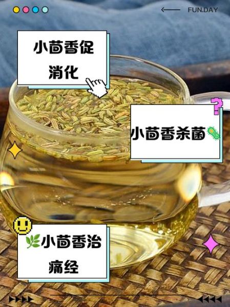 小茴香泡水喝的功效_小茴香泡水可以天天喝吗-第1张图片-山城妙识 小茴香泡水喝的功效_小茴香泡水可以天天喝吗-第1张图片-山城妙识
