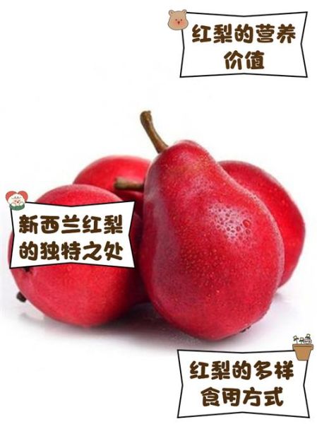 红梨图片价格_红梨图片多少钱一张-第1张图片-山城妙识