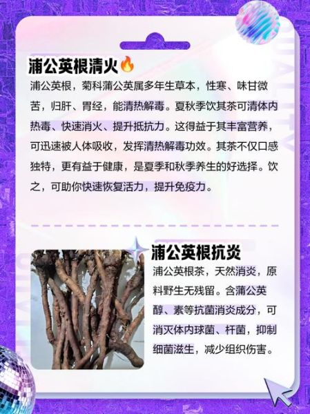 蒲公英根的功效与禁忌_蒲公英根泡水喝的正确方法-第2张图片-山城妙识