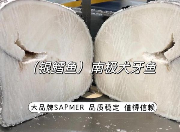 雪鱼和鳕鱼区别_哪个更好吃-第2张图片-山城妙识