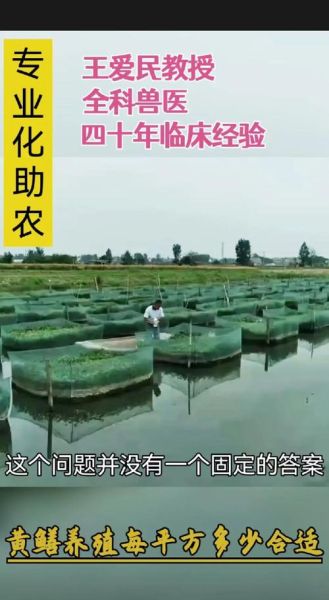 四川黄鳝养殖基地在哪里_黄鳝养殖技术要点-第3张图片-山城妙识