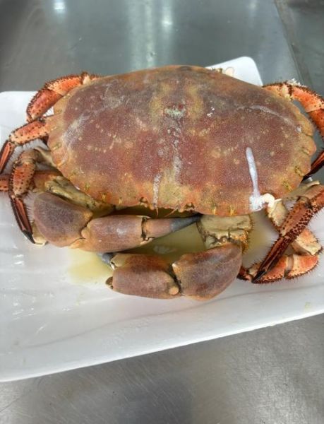 面包蟹怎么蒸_面包蟹蒸多久才熟-第1张图片-山城妙识