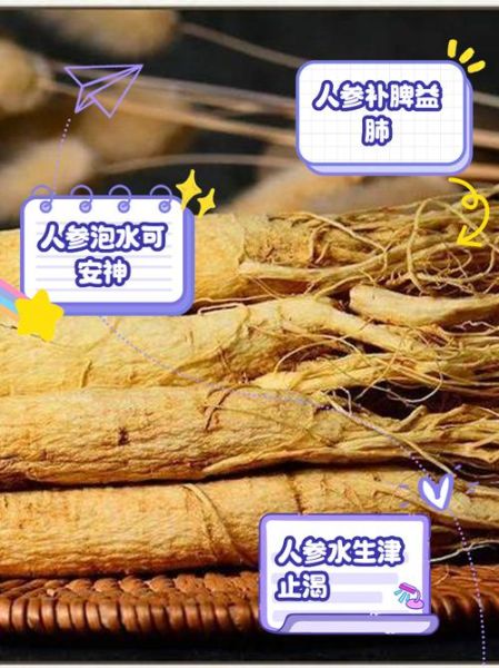 人参片怎么泡_人参片一次放几片-第1张图片-山城妙识