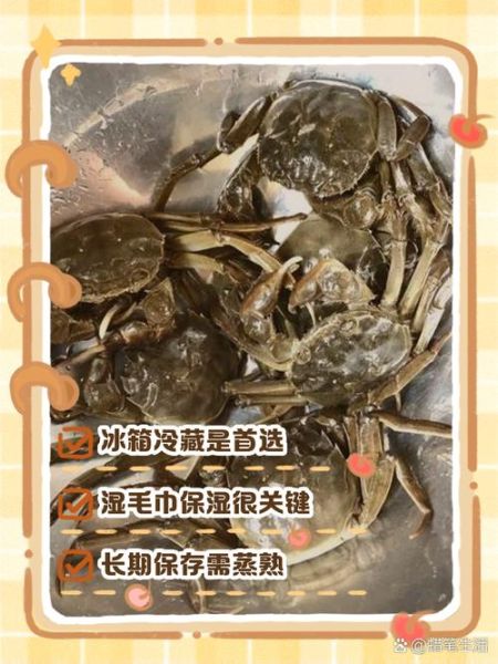 螃蟹怎么保存_螃蟹能放多久-第3张图片-山城妙识 螃蟹怎么保存_螃蟹能放多久-第3张图片-山城妙识