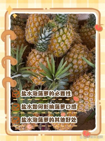 菠萝用盐水泡多久可以吃_盐水泡菠萝的正确时间-第3张图片-山城妙识