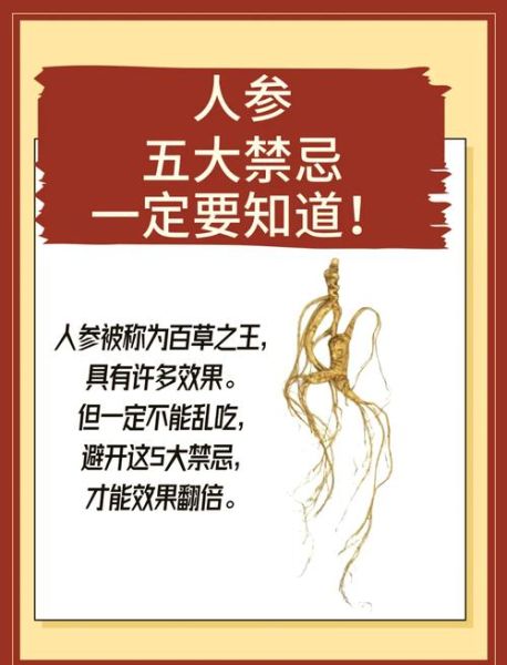鲜人参的功效与禁忌_哪些人不能吃-第1张图片-山城妙识 鲜人参的功效与禁忌_哪些人不能吃-第1张图片-山城妙识