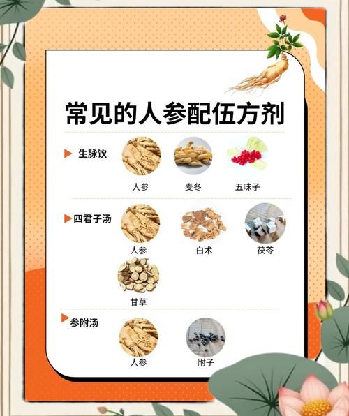 鲜人参的功效与禁忌_哪些人不能吃-第3张图片-山城妙识 鲜人参的功效与禁忌_哪些人不能吃-第3张图片-山城妙识