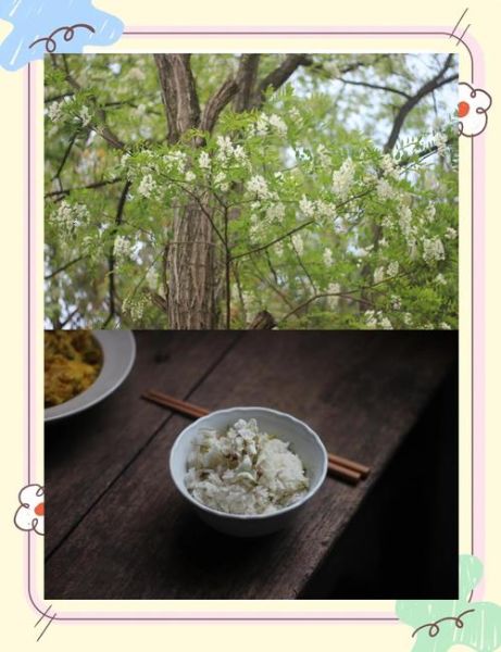 槐花饭蒸多久_槐花饭蒸几分钟-第1张图片-山城妙识