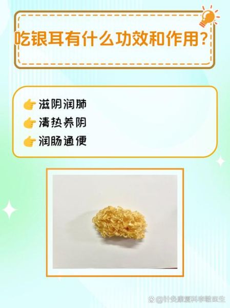 雪耳的功效与作用有哪些_雪耳怎么吃最润肺-第3张图片-山城妙识 雪耳的功效与作用有哪些_雪耳怎么吃最润肺-第3张图片-山城妙识