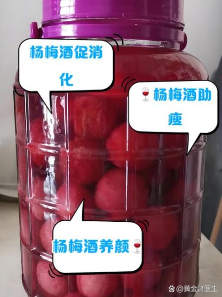 杨梅酒制作前杨梅怎么处理_杨梅泡酒要不要去核-第1张图片-山城妙识