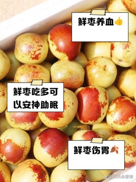 鲜枣吃多了有什么坏处_鲜枣一天吃多少合适-第1张图片-山城妙识 鲜枣吃多了有什么坏处_鲜枣一天吃多少合适-第1张图片-山城妙识